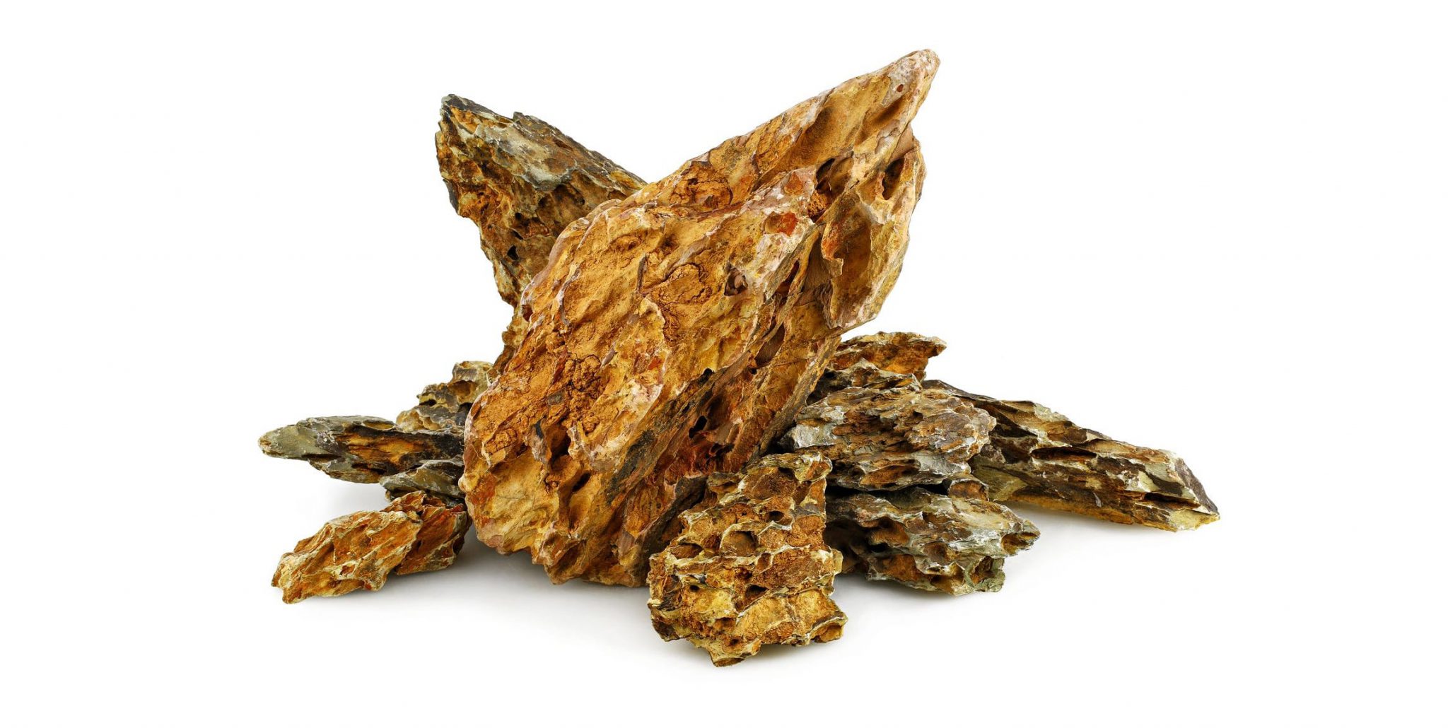 The Elements of Aquascaping: Rocks, Driftwood & Substrates ...